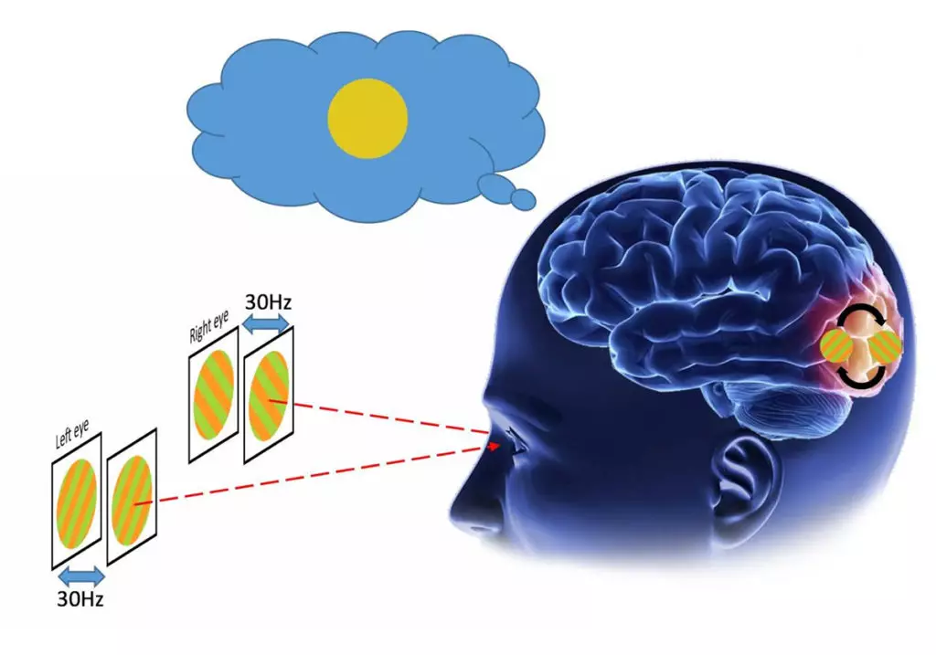 मस्तिष्कलाई होईन। कसरी शरीर मानवीय संज्ञानात्मक गतिविधिमा भाग लिन्छ 2614_5