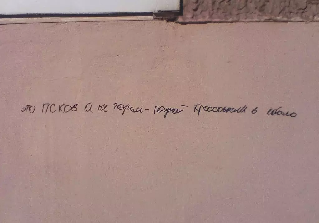 Malipayon nga pag-abut sa skobarian. Unsa ang buhaton sa PSKOV ug sa kasikbit nga lugar 2737_8