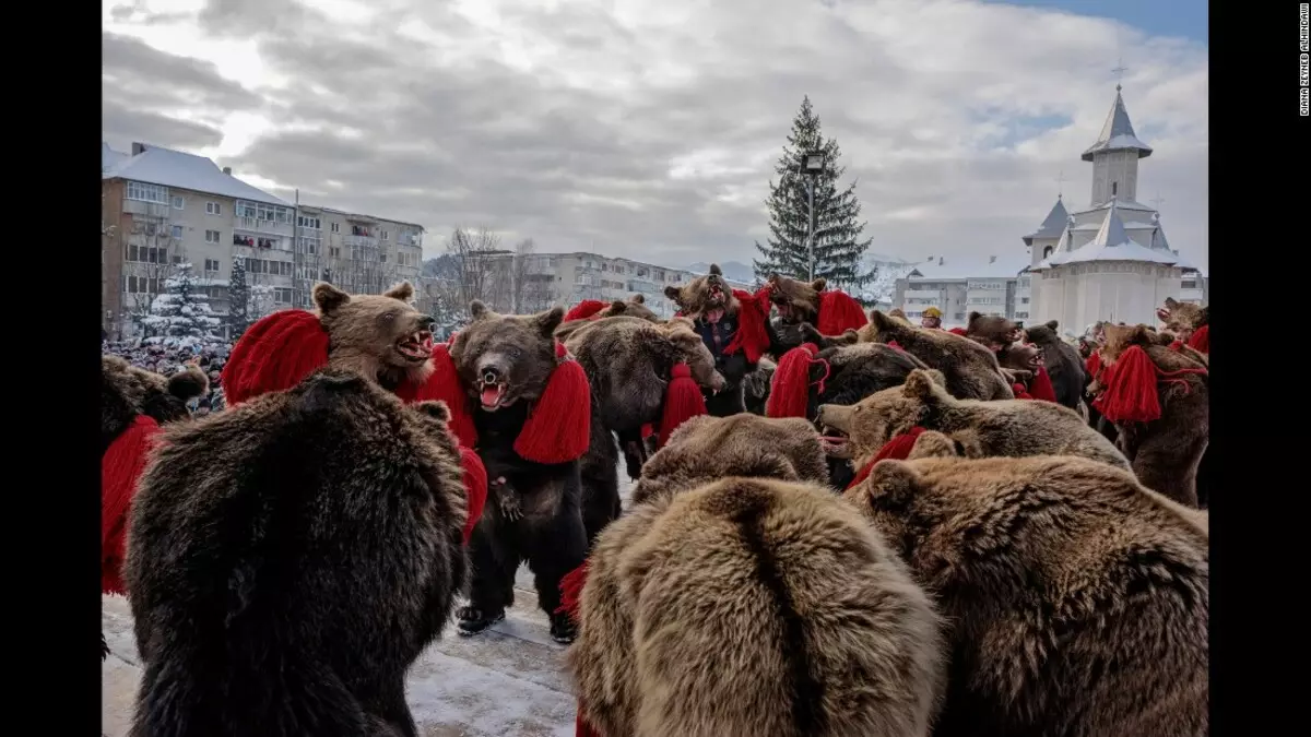 Edrychwch: Parade Love Bear yn Romania 298_6