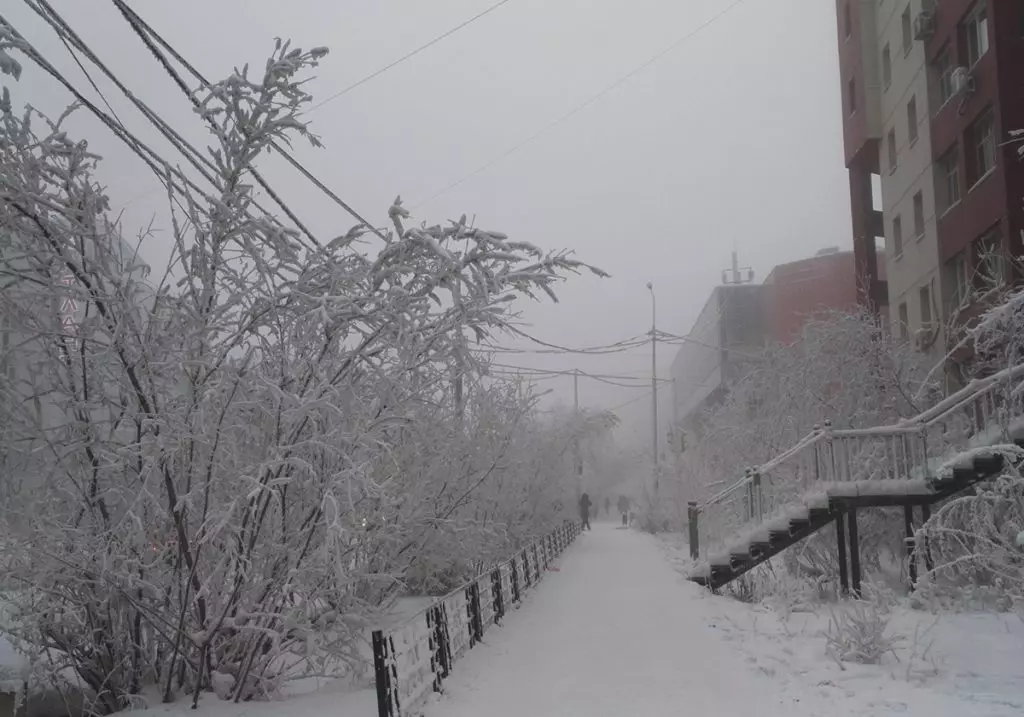 Mammoths, மூல கல்லீரல் மற்றும் சினிமா. இது ஒரு frosty yakutsk, நீங்கள் மிகவும் சூடாக எடுக்கும் இது 3424_4