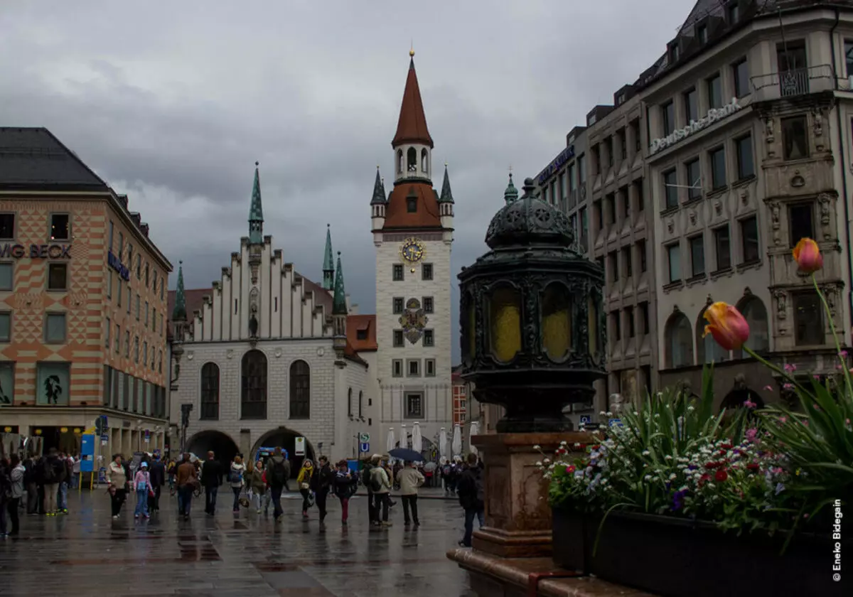 Magaalooyinka go'ay, biirka bavaria iyo muusikada xubnaha. Nishchese ee koonfurta Jarmalka 3430_6