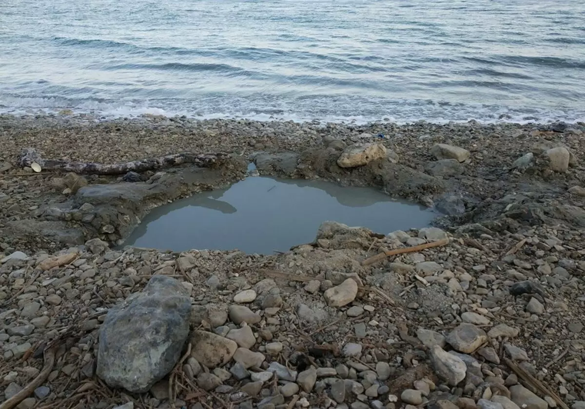 Nischegeid south of Israel: Beaches of the two seas and ancient fortress 3646_13