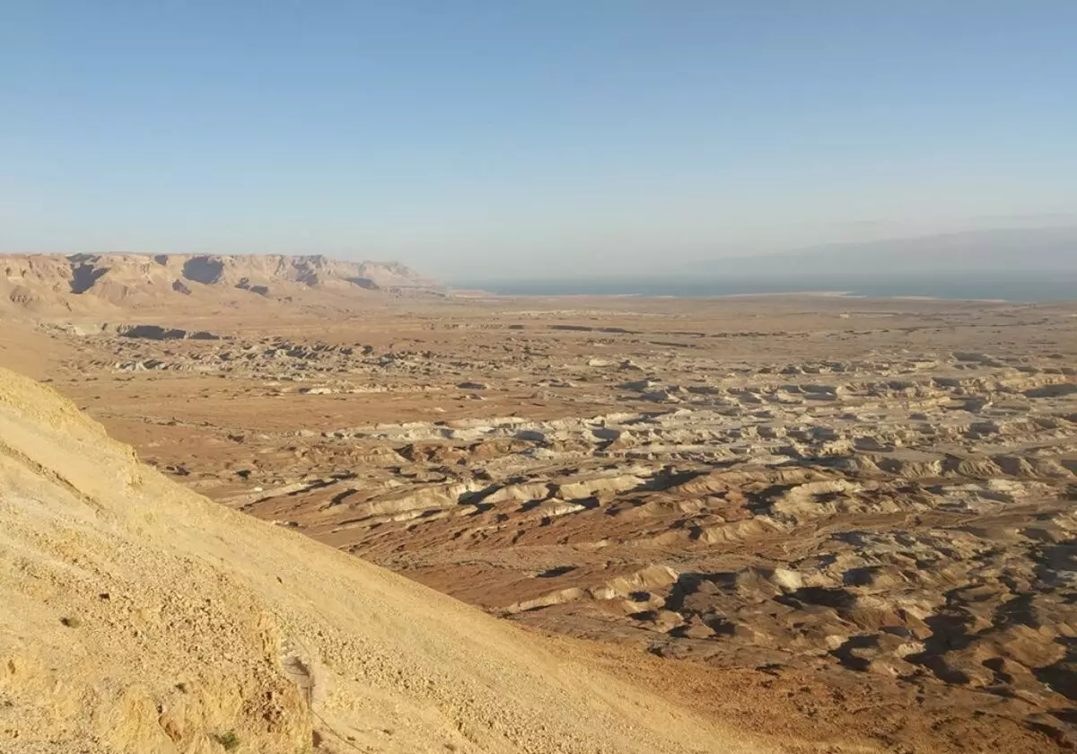 Nischegeid south of Israel: Beaches of the two seas and ancient fortress 3646_18