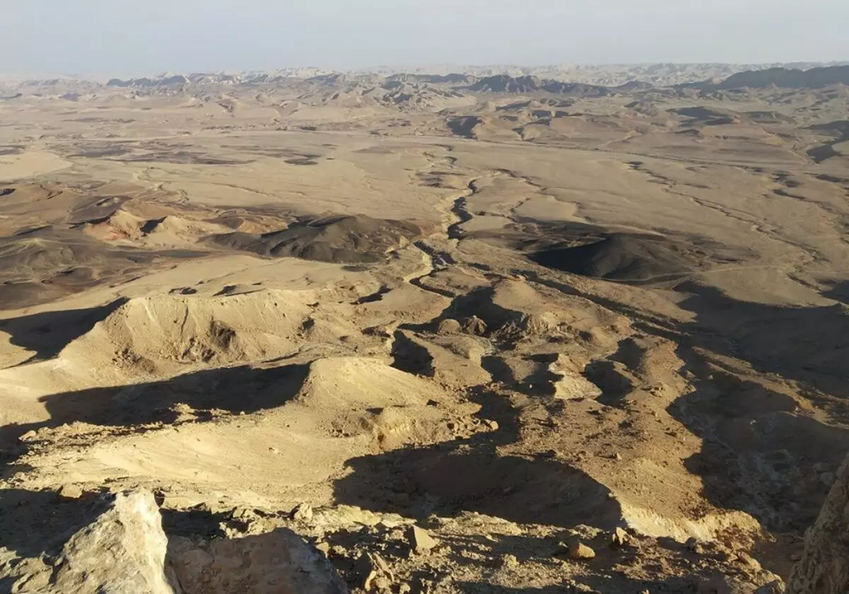 Nischegeid south of Israel: Beaches of the two seas and ancient fortress 3646_23