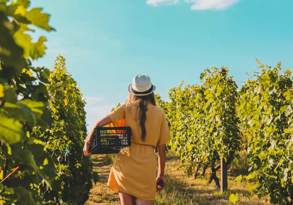 La Heredaĵo de Aŭstra Mistriko kaj la Tasting Hall por Brezhnev: Vina Gvidilo en la sudo de Rusujo 48_2