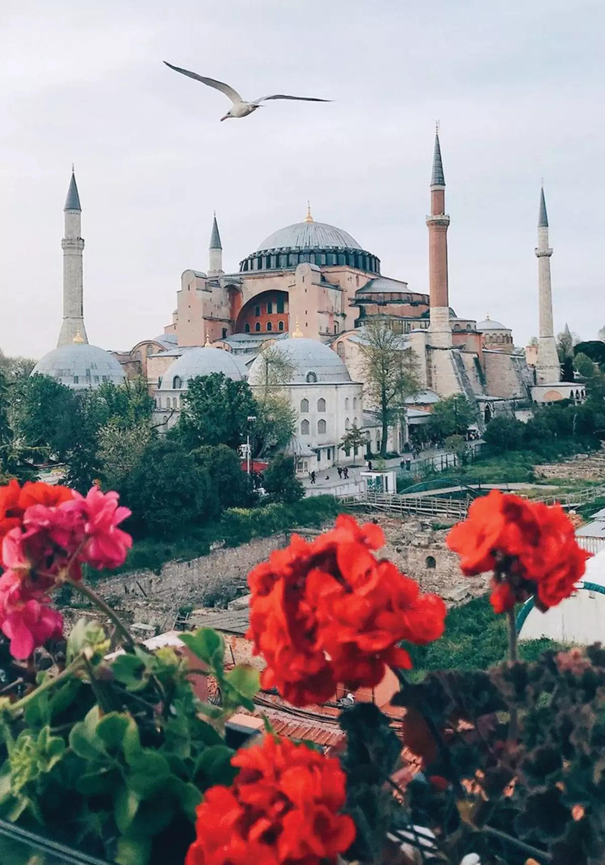 20 ting, der skal gøres i Istanbul i 2020. Frisk vejledning på den mest interessante udenlandske by af dem, hvor indgangen er åben 50_1