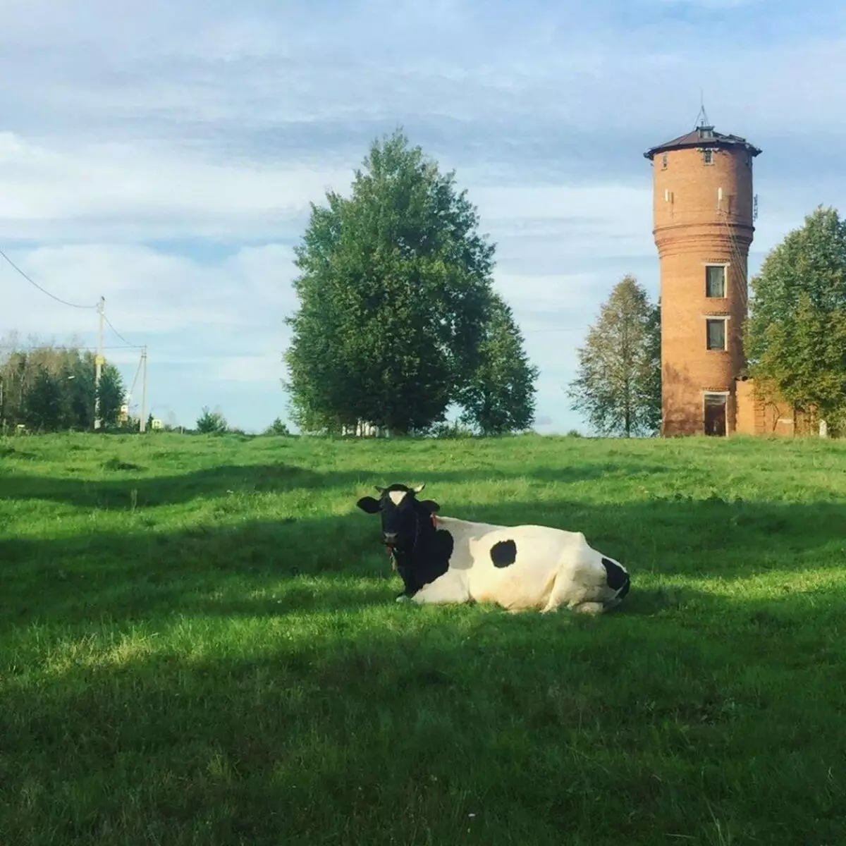 Persona Sperto: Kiel mi laboras kiel instruisto pri biologio, geografio kaj kemio en kampara lernejo 5509_1