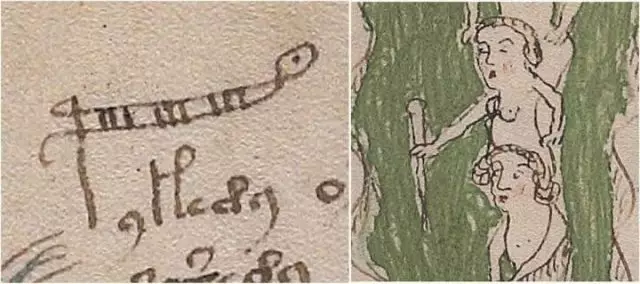 Ο βρετανός ακαδημαϊκός δήλωσε ότι είχε αποκρυπτογραφηθεί από το χειρόγραφο του Warsench - ένα από τα πιο μυστηριώδη κείμενα στον κόσμο 6127_1