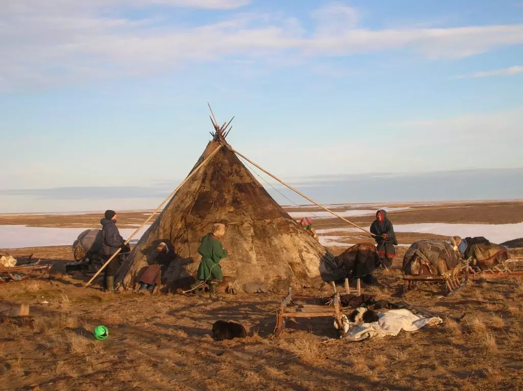 Sopa de la sangre de la sangre bajo películas de una unidad flash. ¿Cómo viven los Nenets en Tundra 6155_8