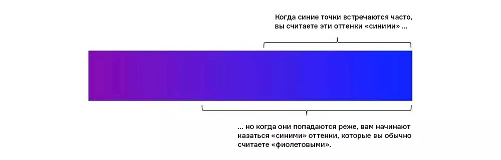 Тогоо, хоол хийж болохгүй! Яагаад бидний тархи яагаад асуудалгүй тулгардаг вэ? 6177_3