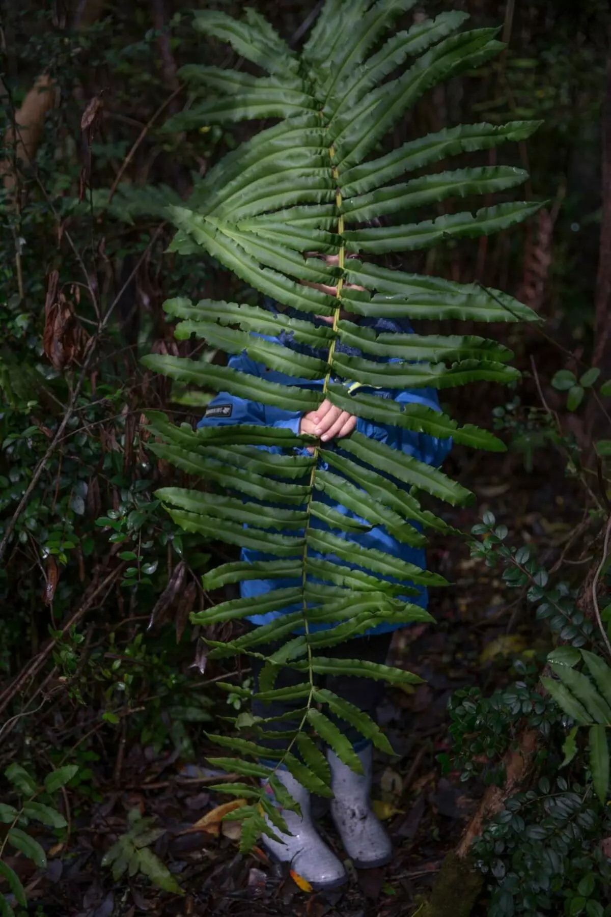 Sueños: Come il fotografo dal Cile era nascosto dal coronavirus nella foresta e ha inventato un progetto per una coppia con un figlio di cinque anni 6194_13