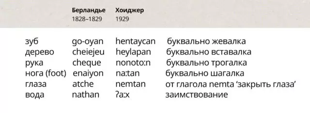 Chevalka, umetanja i ritual anesty. Kratki vodič po jezicima tabups iz Australije pustinje u Polish šumama 6414_1