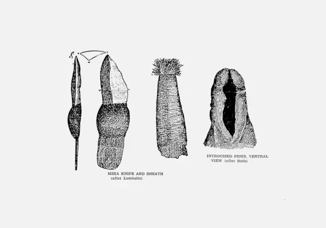 Arctic Quir-șamanilor și diverse Isus, sau ca oameni transgender legați două lumi, spirite și oameni 648_1