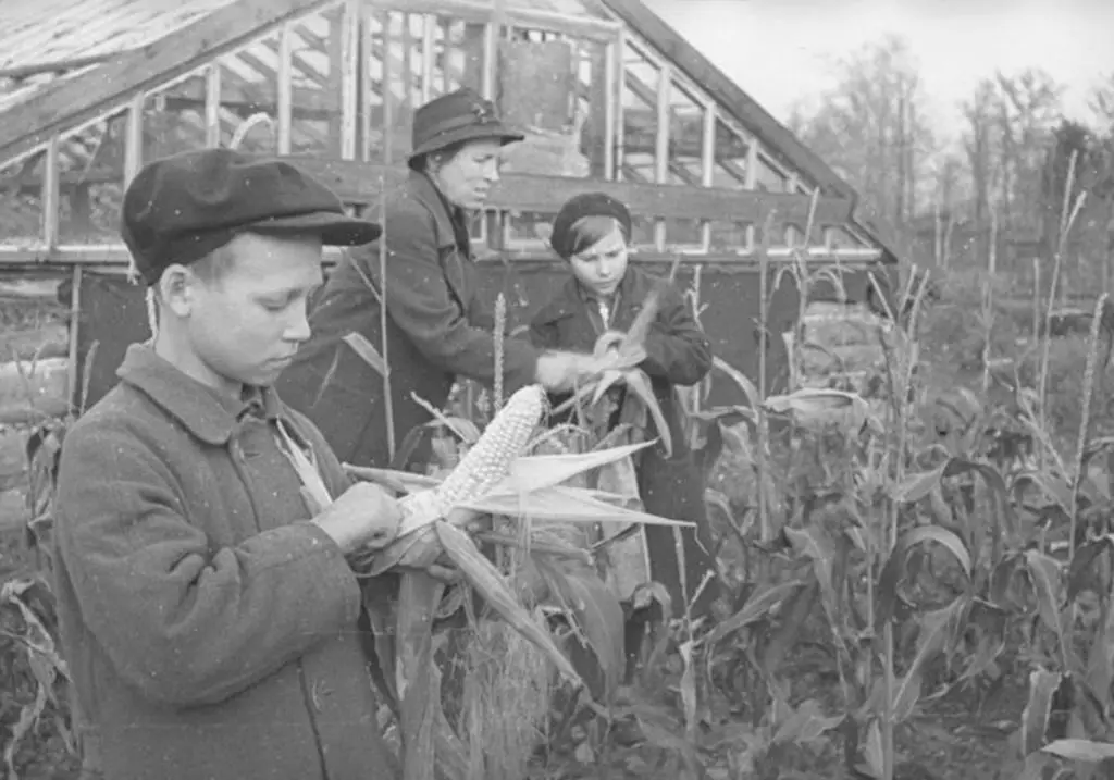 Pioniri ubojica, biciklisti - premještači i spand. Zaboravljeni likovi i časovi sovjetskog djetinjstva 690_3