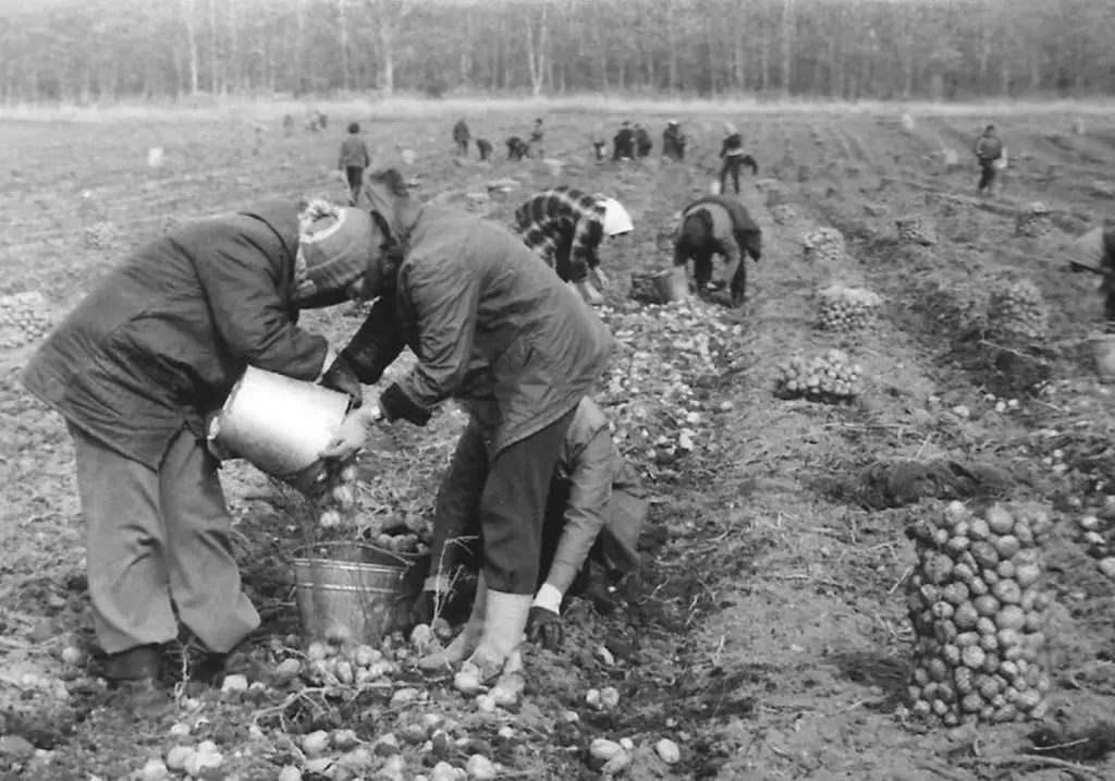 Pioniri ubojica, biciklisti - premještači i spand. Zaboravljeni likovi i časovi sovjetskog djetinjstva 690_8