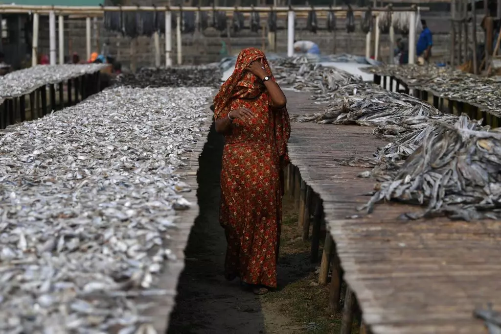 Makadaot nga mga tubig sa Bangladesh: Giunsa ang mga pagsulay nga mabuhi sa labing gidaugdaug nga mga tawo sa kalibutan 6971_6