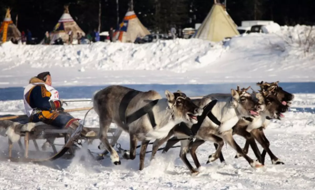 Gråter till förmån för Garda, rytm och ilska av amerikansk hip-hop, racing på hjort sledding: 10 händelser i veckan 739_4