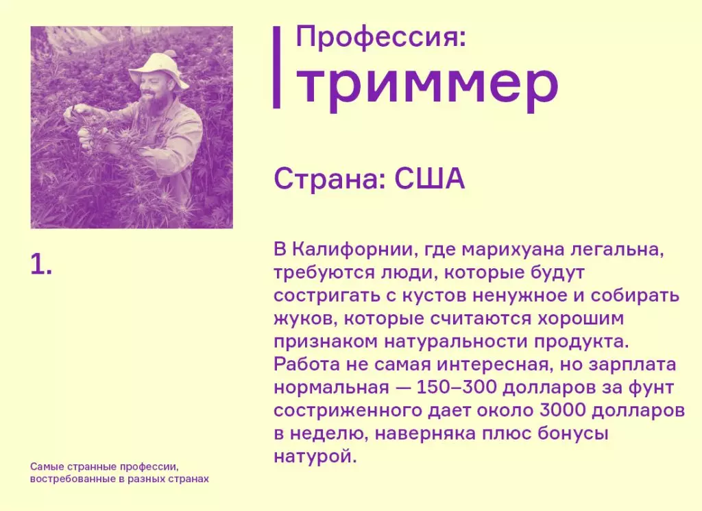 - Кой работите? Най-странните професии в търсенето в различни страни 7604_1