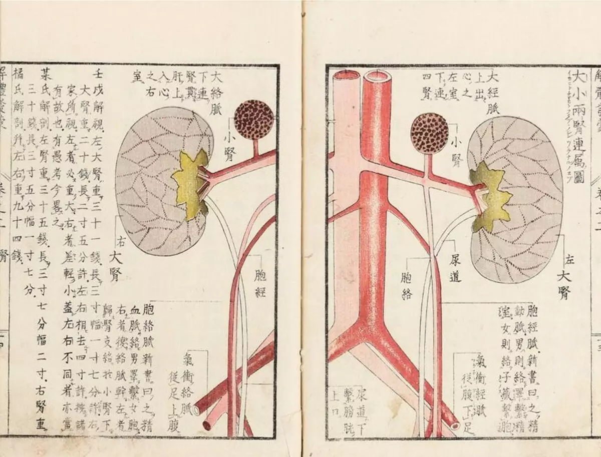 Sake gina kan iyakokinmu: Kamar yadda Taboo, daukar hoto da ilimin biomite na kirkirar jikin mutane 7767_5