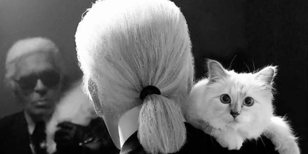 Την πρώτη κυρία της βιομηχανίας της μόδας. Γιατί η γάτα του Karl Lagerfeld είναι πιο απότομη από όλους μας 808_1