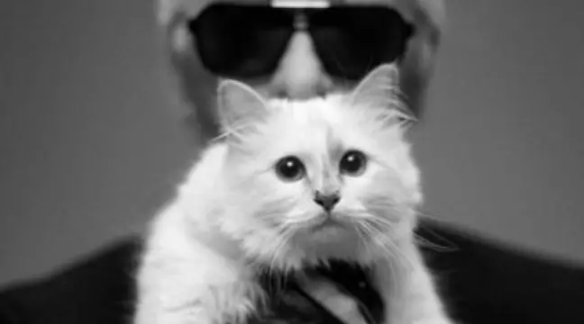 Την πρώτη κυρία της βιομηχανίας της μόδας. Γιατί η γάτα του Karl Lagerfeld είναι πιο απότομη από όλους μας 808_2