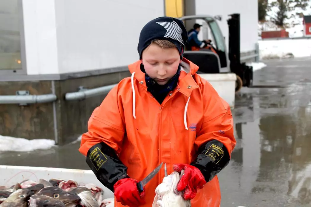 Geschichte: Norwegische Schulkinder auf dem Verkauf von Fischsprachen angereichert 9816_4