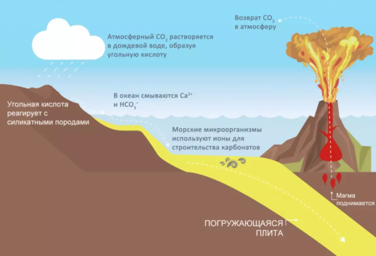 Маш сайн эриний төгсгөл. Сван дууны биосфер юу байх вэ 9899_5