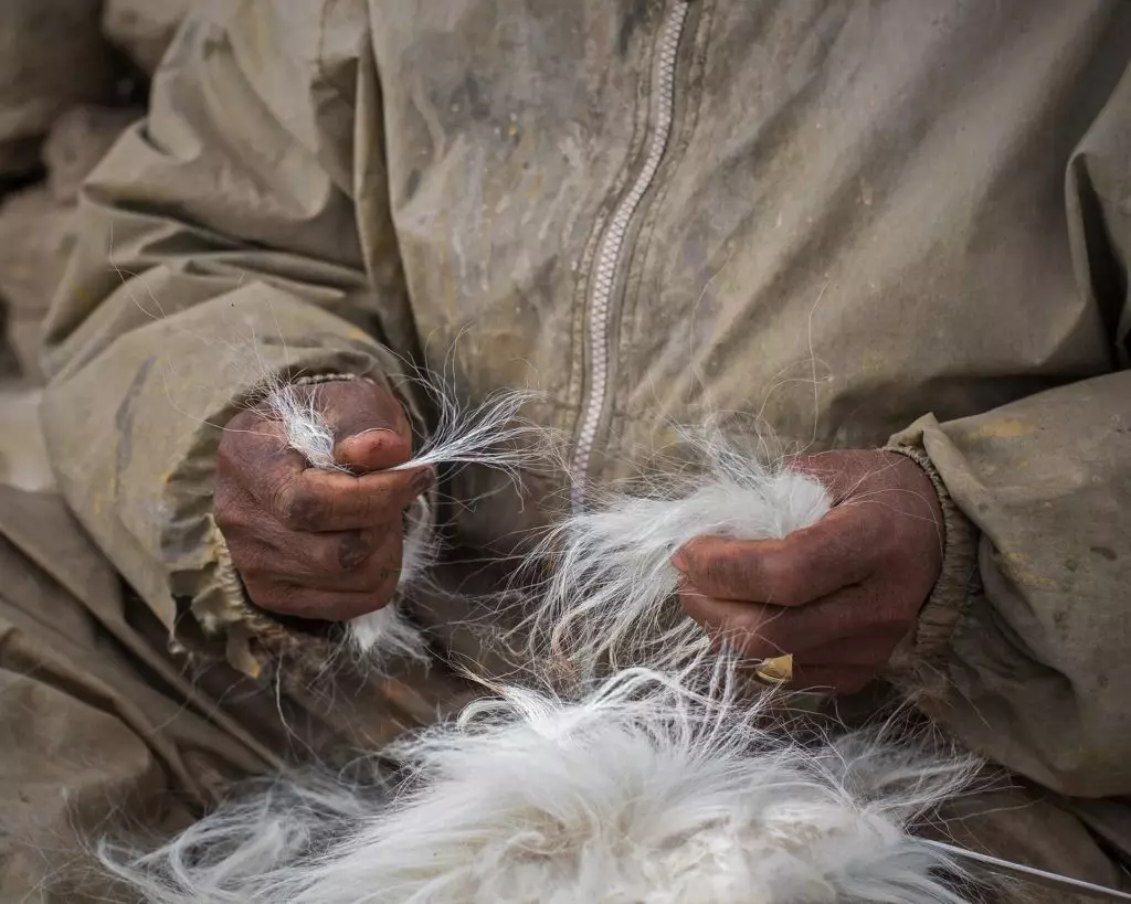 Wizards of the Country Goats: cum ar fi nomazele tibetane fac cel mai scump șal din lume 9945_4